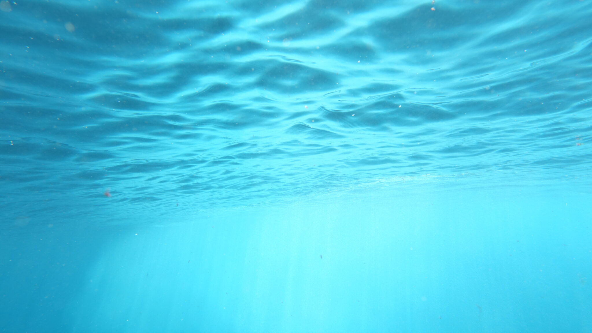 Kin Study: Water script - Sensuous Knowledge, 2023 - SWA A-B_HPP